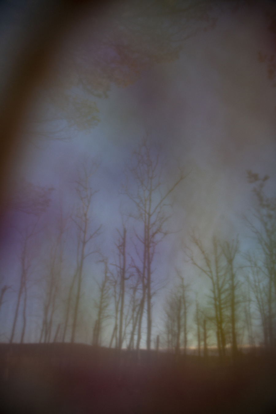 Eber, Dena – Jewish Art Salon